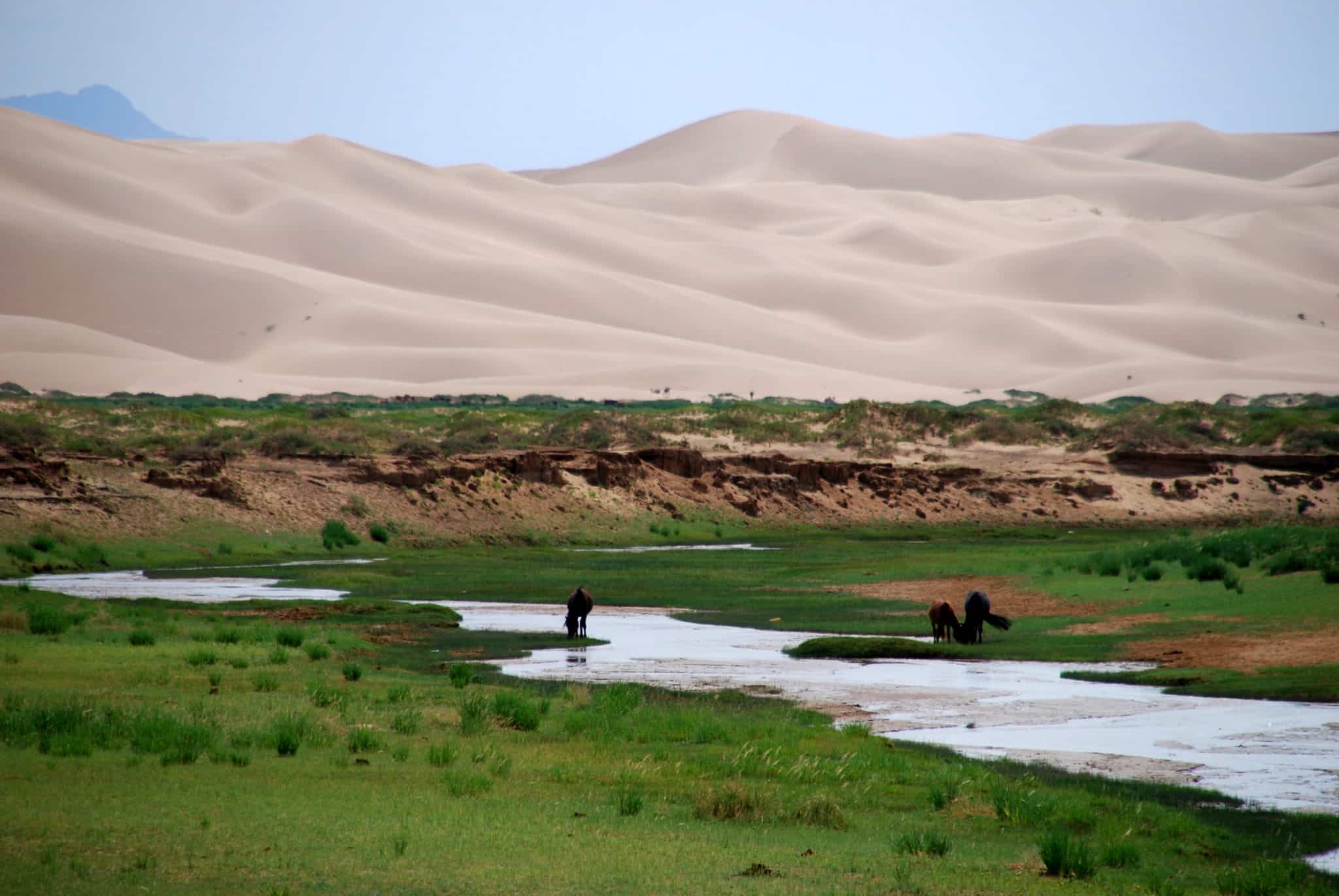 The Gobi Desert - Mongolei-Reise